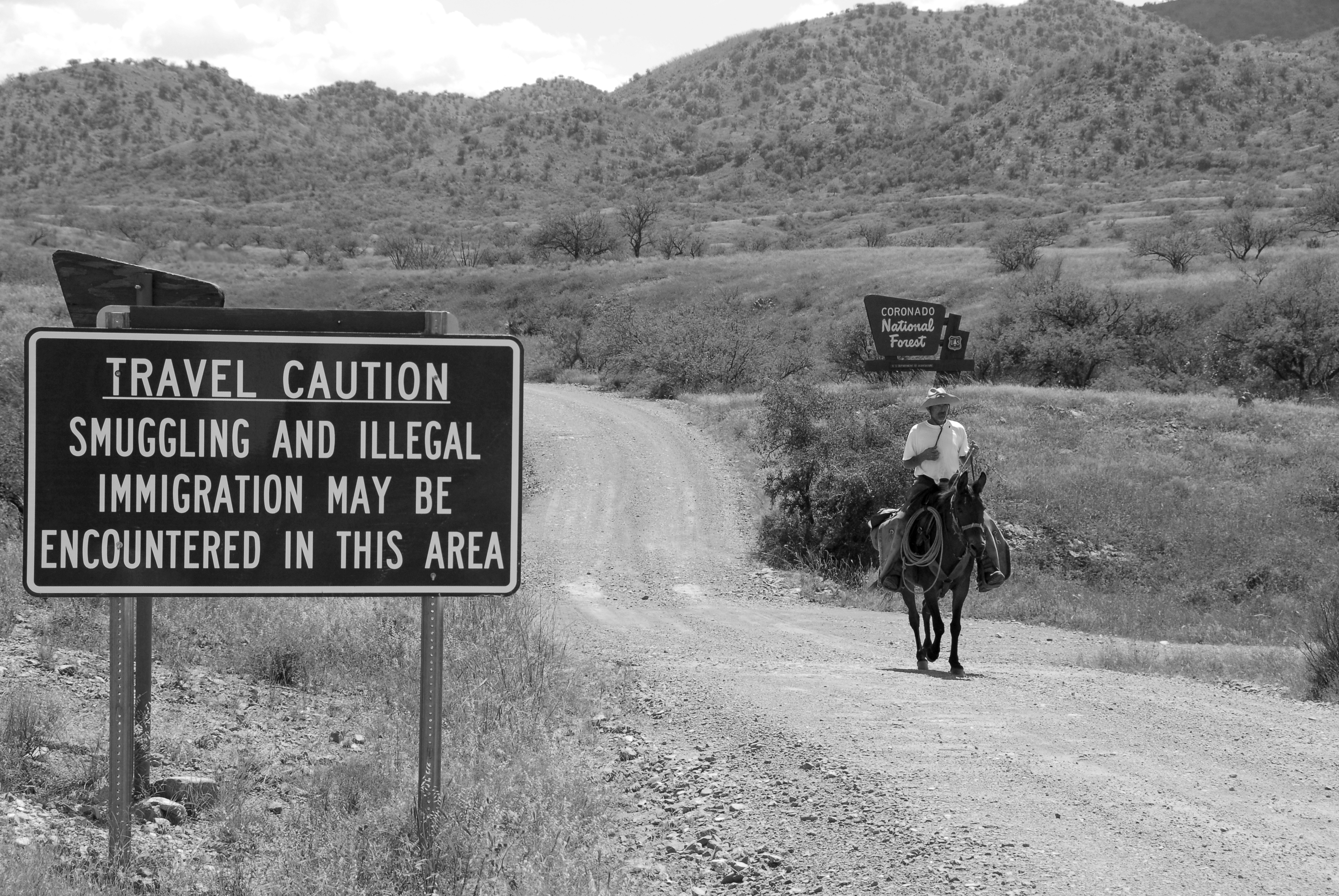 Understanding Migration | Migrant Clinicians Network